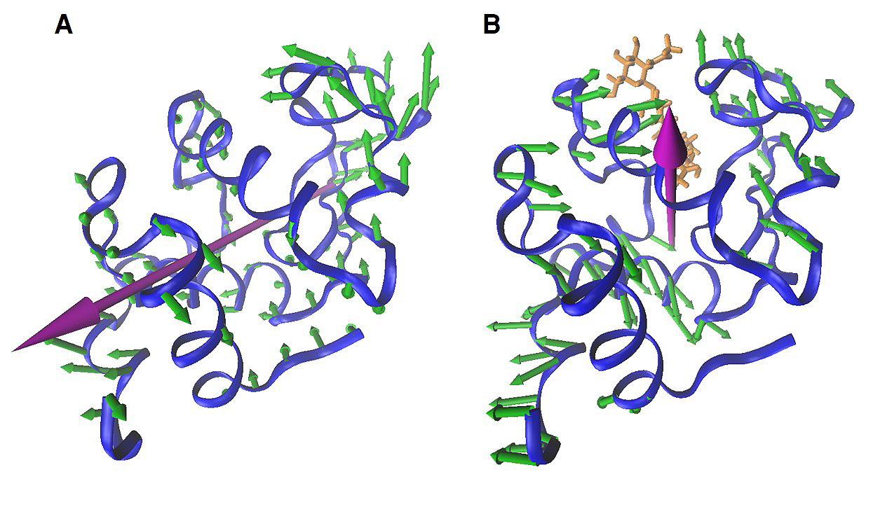When proteins court each other, the dance moves matter - School of ...