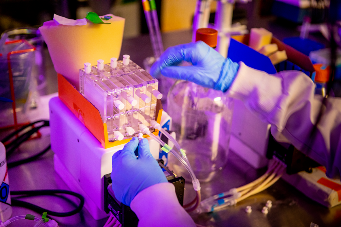 Doctoral Program (PhD) - Department of Civil, Structural and ...