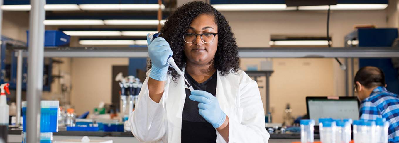 Distinguished Research Fellowship Program - UB School of Engineering ...